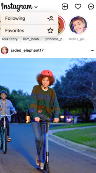 Instagram Story.Viewer - Picnob