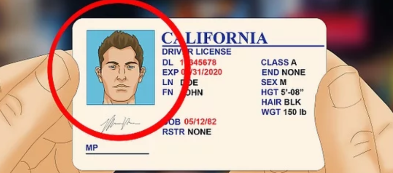 Fake Driver's Licenses: Understanding the Dangers and Results - Picnob