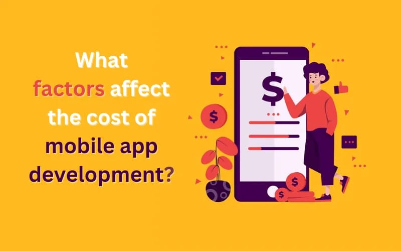 Factors that Affect the Mobile App Development Cost - Picnob