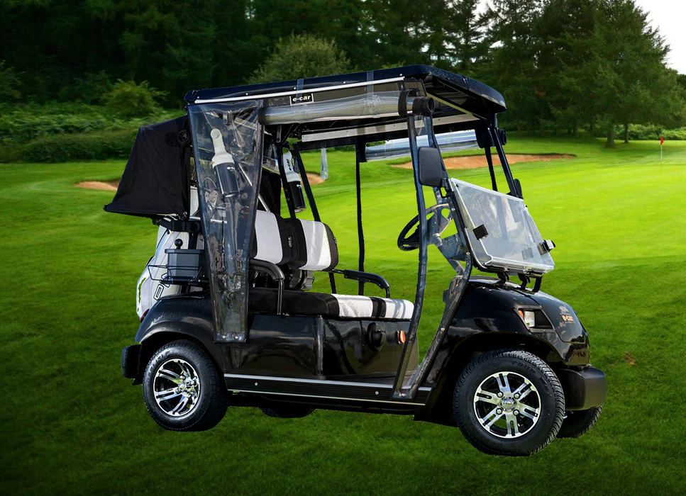 Maintaining and Charging Your Electric Golf Buggy - Picnob