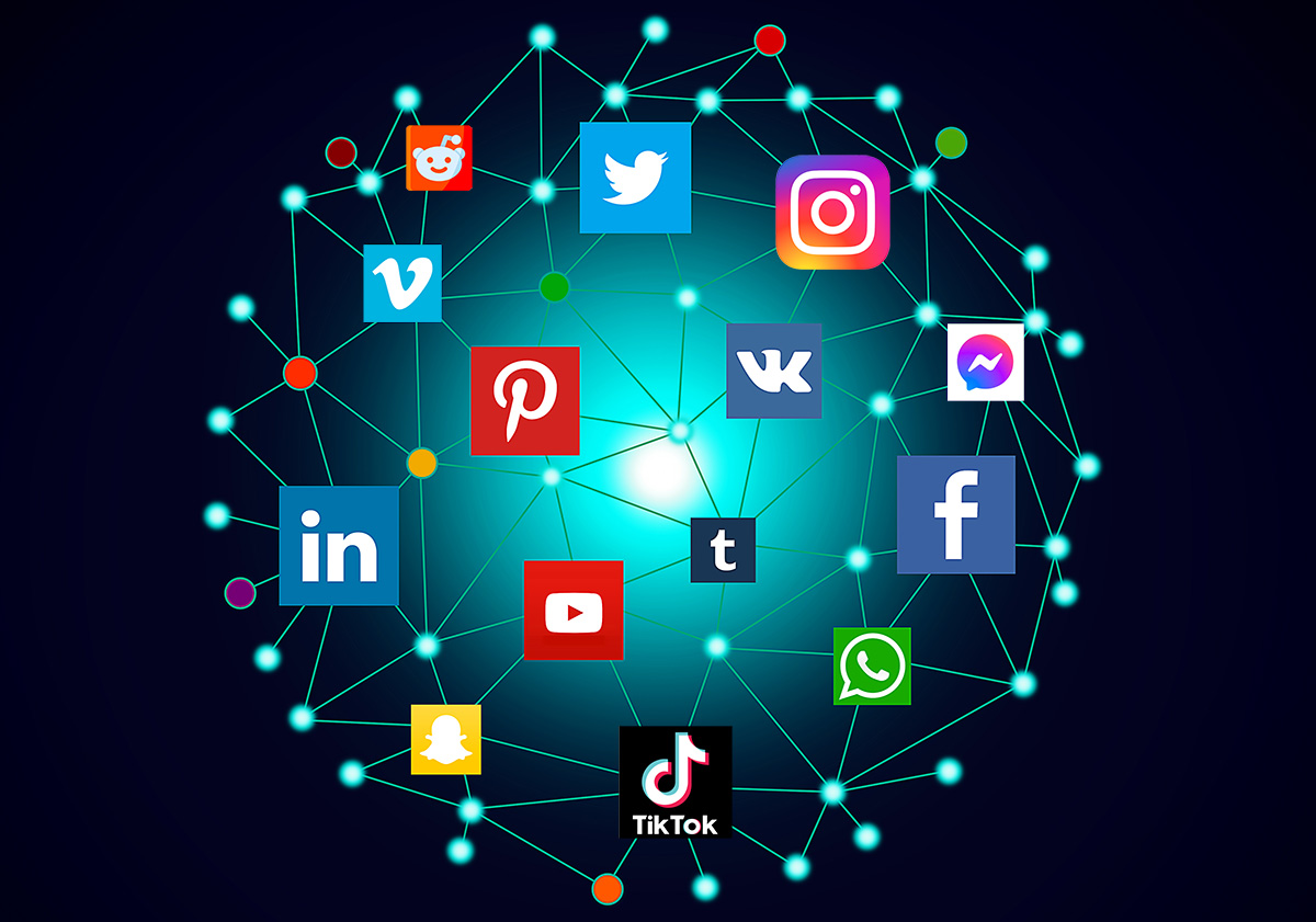 Evaluating Social Media Profiles - Picnob